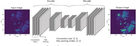 Figure From Convolutional Autoencoder Based Feature Extraction In