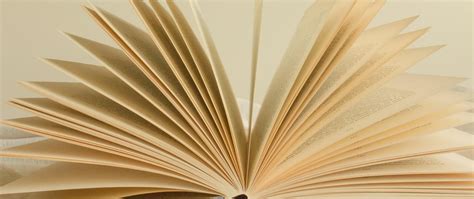 Server Side Pagination In React Js Material Ui Dev Community