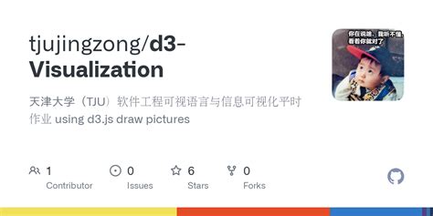 GitHub tjujingzong d Visualization 天津大学TJU软件工程可视语言与信息可视化平时作业 using d js draw pictures