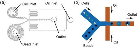 Experimental Setup A Schematic Of The Design Of The Microfluidic