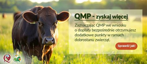 Ekoschemat „dobrostan Zwierząt” Dodatkowe Pieniądze Dla Hodowców Z Qmp Tylko Do 16 Czerwca Ekoschemat „dobrostan Zwierząt” Dodatkowe Pieniądze Dla Hodowców Z Qmp Tylko Do 16 Czerwca