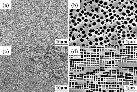 Typical Microstructures Of The Alloys A B A1 And C D A2 After Download Scientific Diagram