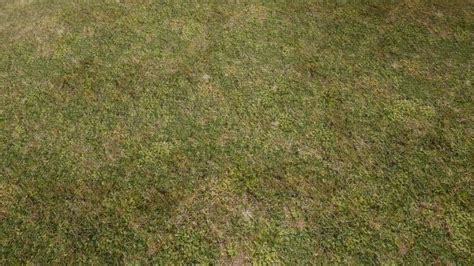 Grass Textures Natural Grass Nature Photos