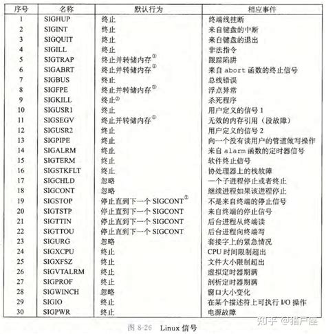 Python：多进程并行编程与进程池 知乎