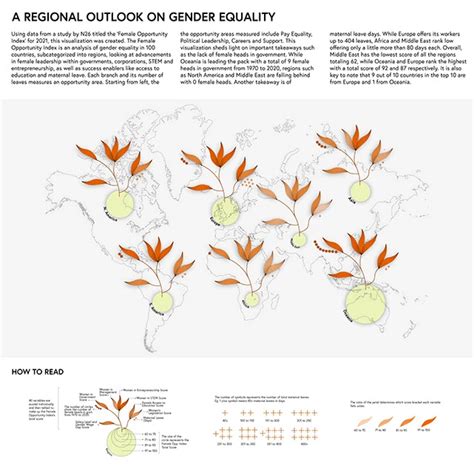 Data Visualization Regional Outlook On Gender Equality Behance