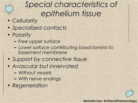 Tissues An Overview PPT