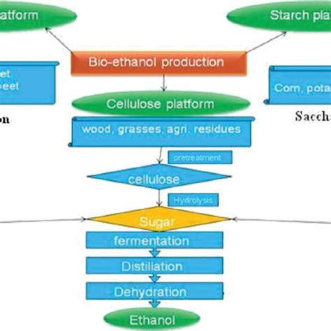Effect Of Substrate Concentration In The Production Of Bioethanol Download Scientific Diagram