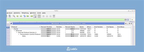 Captura Y Analiza El Tráfico De Red Con Wireshark Labex
