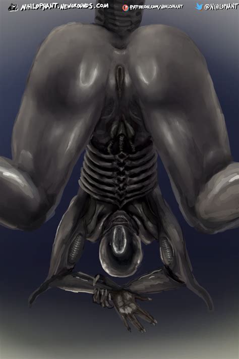 Rule 34 2 3 Alien Alien Franchise Anus Female Female Xenomorph Flat Chested Genitals Hi Res