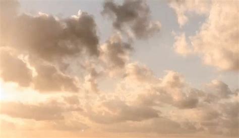 ყველაფერი 10 ლარად მხოლოდ სამი დღით ამერიკული ტანსაცმლის მაღაზიაში შეგიძლიათ შეიძინოთ