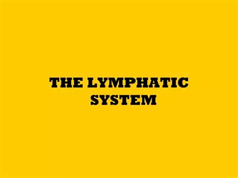 Ppt The Lymphatic System Powerpoint Presentation Free Download Id