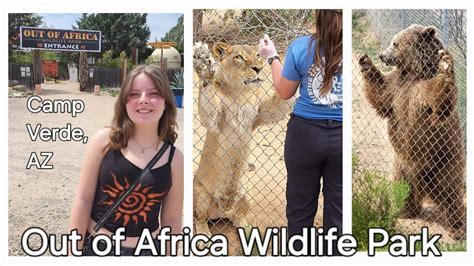 Out Of Africa Wildlife Park Camp Verde Arizona Youtube