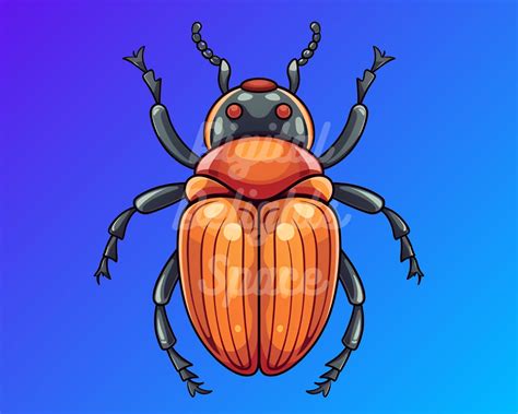 Cartoon Beetles Clipart High Quality  Beetles Beetle Etsy
