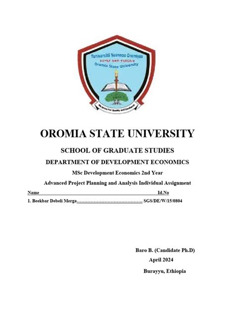 Advanced Project Planning And Analysis Individual Assignment1 Download Free Pdf Feasibility