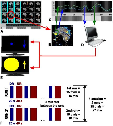 Schematic For Dataflow And Experimental Design A Screenshot From