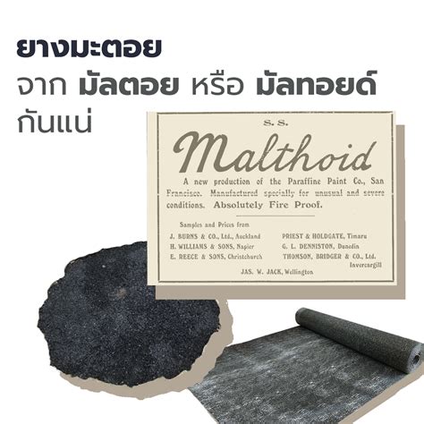 Museum ยางมะตอย จาก มัลตอย หรือ มัลทอยด์ กันแน่ ถนนลาดยางมะตอย
