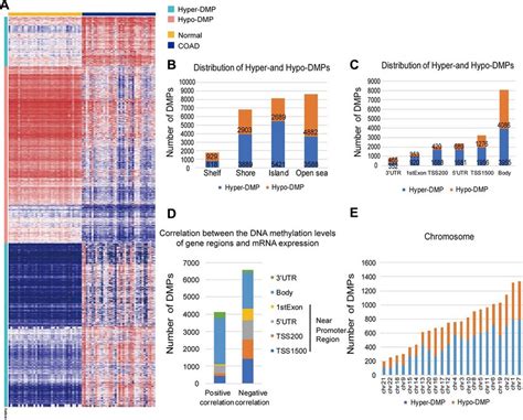 Distribution Of Dmps A Unsupervised Hierarchical Clustering And Heat