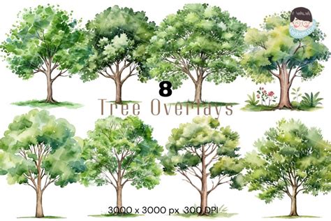 Tree Overlays Watercolor Clipart