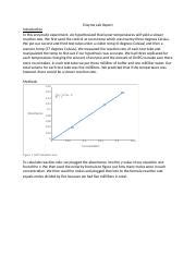 Enzyme Lab Report Docx Enzyme Lab Report Introduction In This Enzymatic Experiment We