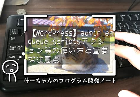 【wordpress】adminenqueuescriptsアクション等の使い方と重要な注意点