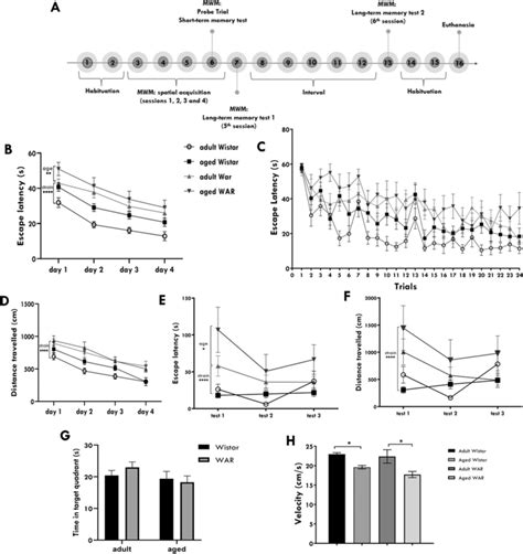 Spatial Navigation Performance Of Adult And Aged Rats In The Morris Download Scientific Diagram