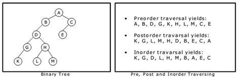 Binary Tree Traversal Techniques Inorder Preorder Postorder Levelorder Examradar