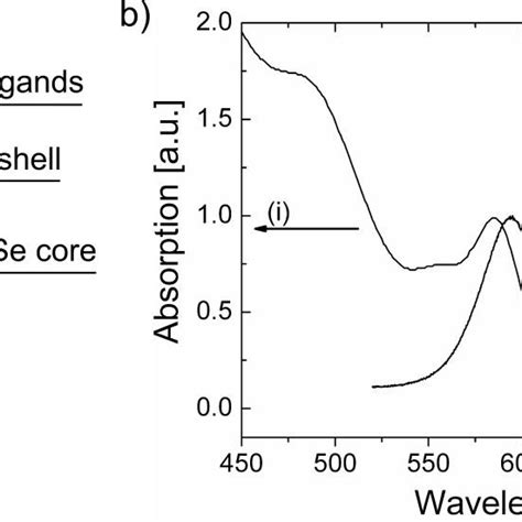 A Schematic Representation Of A Cdse Zns Core Shell Qd With Surface