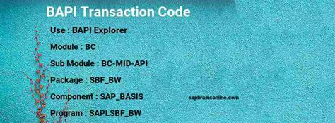 BAPI SAP Tcode For BAPI Explorer