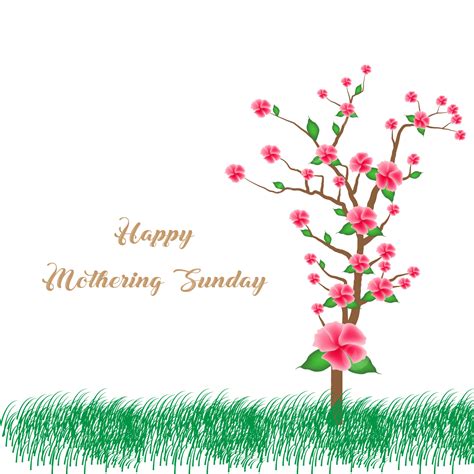 해피 어머니 일요일 Beautifull 꽃과 잔디 사쿠라 벡터 디자인 어머니의 일요일 어머니 장식 Png 일러스트 및 벡터 에 대한 무료 다운로드 Pngtree