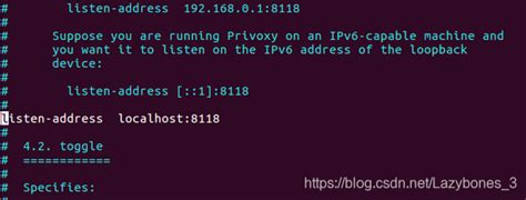 privoxy安装及配置 csdn博客