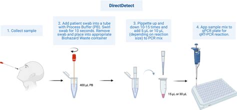 Directdetect Sars Cov 2 Direct Real Time Rt Pcr Sample Preparation