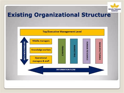 Managing Information Systems Pptx
