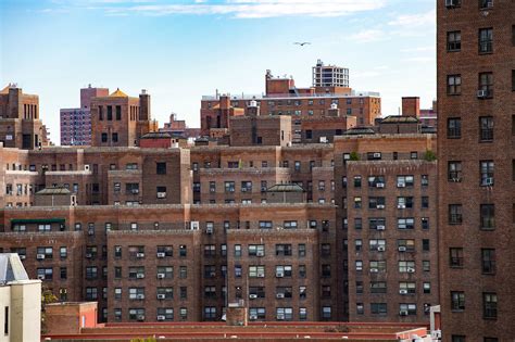 Nyhc A Nonprofit Case Study E9digital