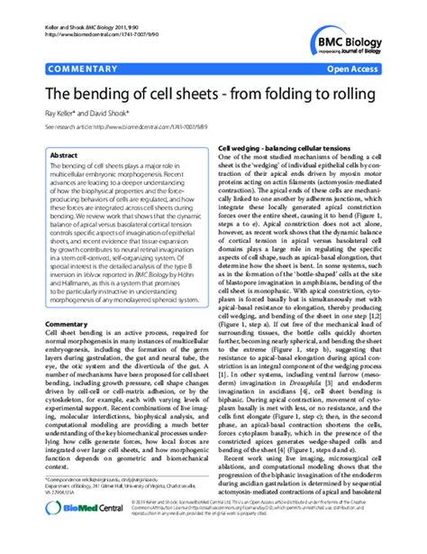 Pdf The Bending Of Cell Sheets From Folding To Rolling
