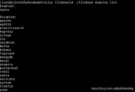 Elasticsearch6x之filebeat安装 Yellowcong13338545的技术博客51cto博客