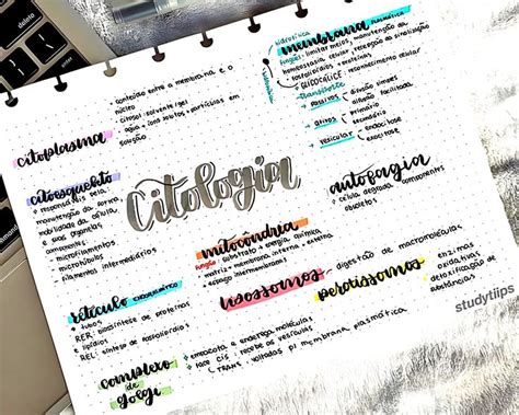 Mapa Mental Sobre Citologia Maps4study Citologia Mapa Mental Mapa