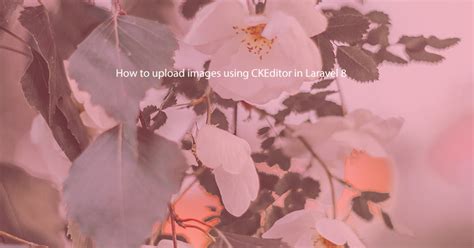 Learning Laravel On Twitter How To Upload Images Using CKEditor In Laravel Https T Co