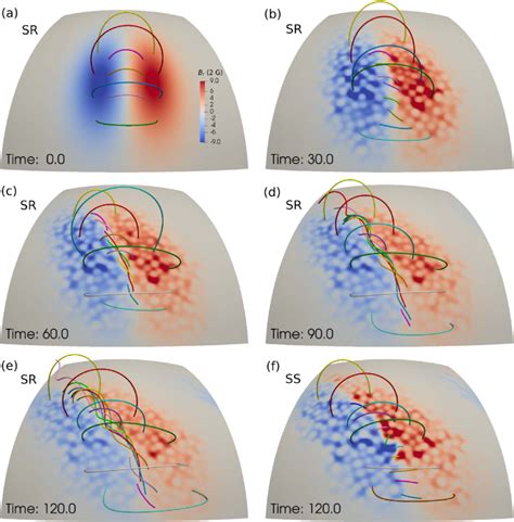 Magnetic Field Lines Of Model Sr With The Coriolis Effect At Time 0
