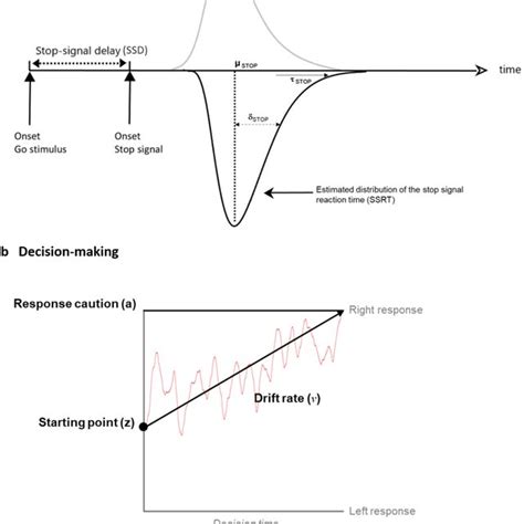 Computational Models Of Inhibition And Decision Making Dynamics A