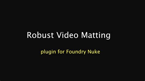 How To Use Rvm In Nuke Video Matting Hossein Karamian Posted On The Topic Linkedin
