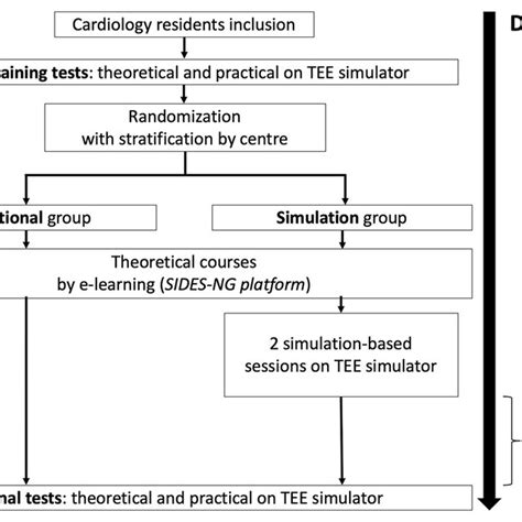 Ten Basic Tee Views For The Practical Test With Anatomic Structures