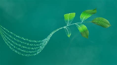 Infineon Presents Innovative Microcontroller Solutions Supporting High Quality Designs At