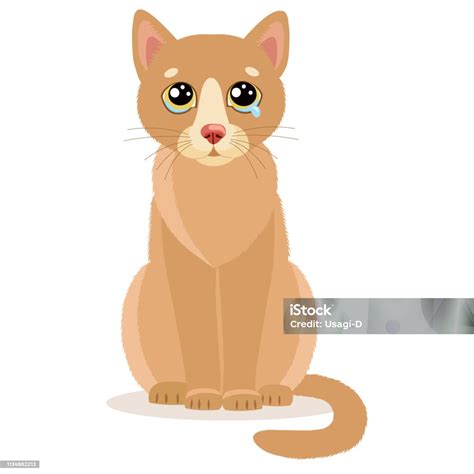Sad Crying Cat Cartoon Vector Illustration Sitting Cat With Tears Stock