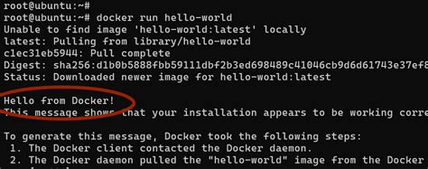 Ubuntu 24 Docker Installation Tutorial For Server And Desktop