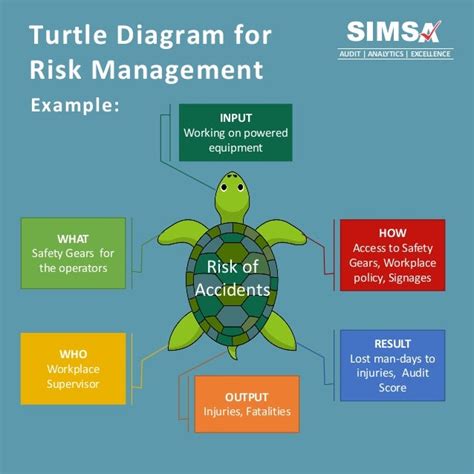 Turtle Diagram For Risk Assessment Pdf
