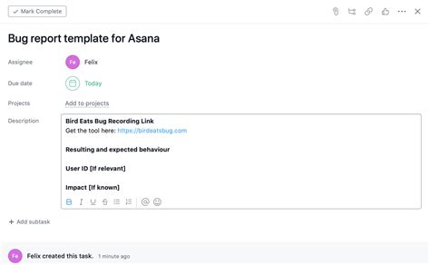 How To Write A Bug Report Effectively Examples And Templates Bird Eats Bug