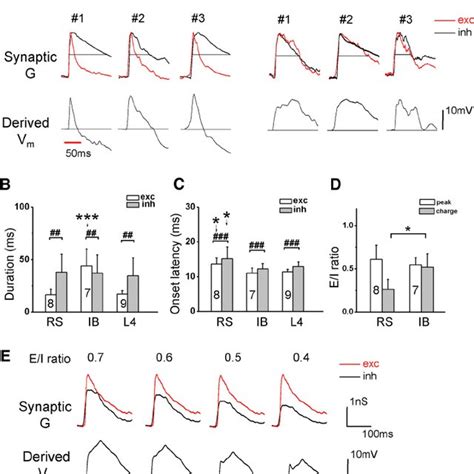 Temporal Properties Of Synaptic Inputs To Different Types Of Neurons A Download Scientific