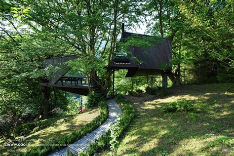 خانه درختی شاهکاری از معماری پایدار در جنگل‌های مازندران عکس