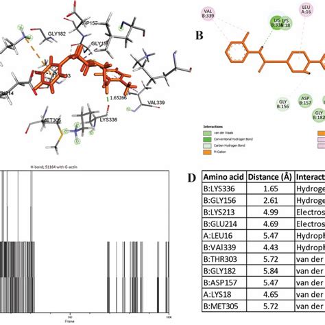 Spatial Properties Of 51164 G Actin Complexation A Spatial Download Scientific Diagram