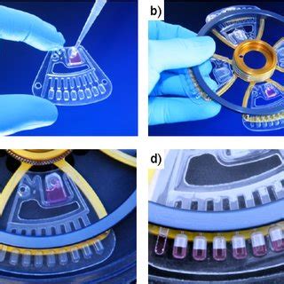 Schematic Design Of The Microfluidic Chip Download Scientific Diagram